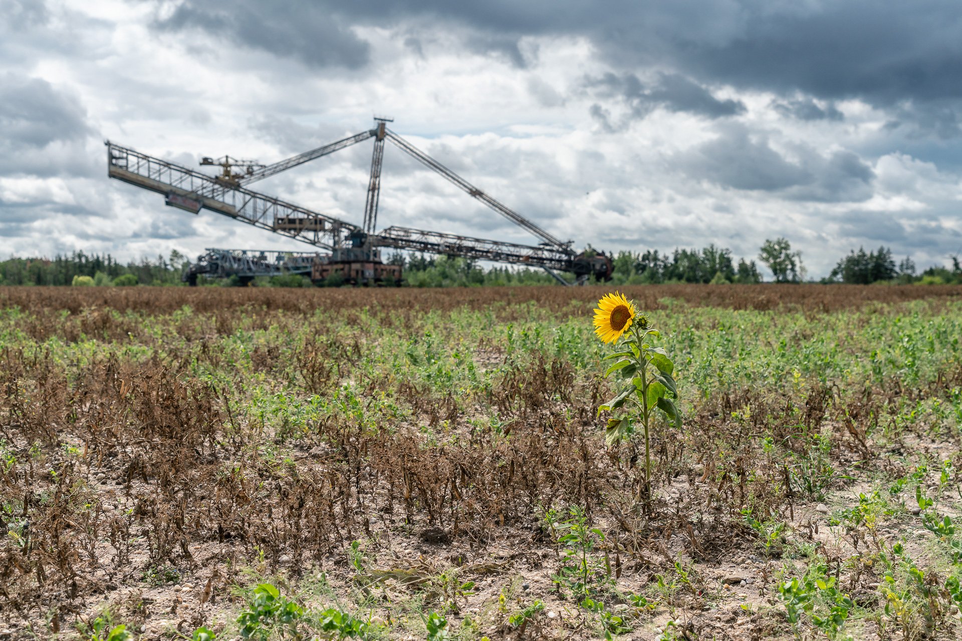 Bagger odchodzi z węglem - EcoReporters